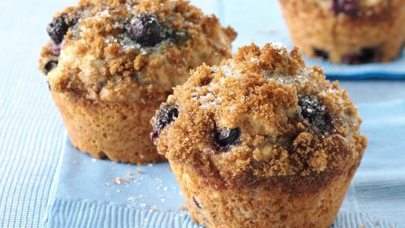 “Two Blueberry Muffins”- Novel Excerpt | Ashley Raymer-Brown